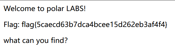 PolarCTF 2023冬季个人挑战赛 WriteUp (web部分)_polarctf 混淆code?-CSDN博客