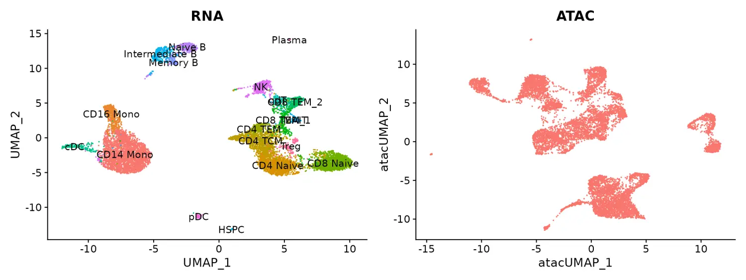 10X单细胞ATAC高级分析内容_10x atac数据分析-CSDN博客