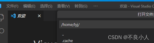 VSCode远程Linux （Ubuntu）_vscode编辑远程ubuntu服务器的文件夹-CSDN博客
