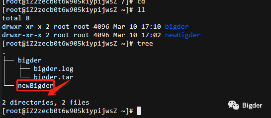 07Linux打包解压文件-Exiting with failure status due to previous errors_git打包报exiting with failure ...