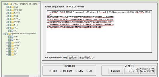 css-palm,CSS-Palm简介:强大的生物信息学网站_超12345的博客-CSDN博客