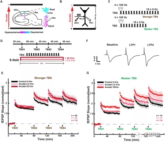 新文联播第8期 | tDCS可改善强迫症症状，调节皮层抑制_tdcs功能思维导图-CSDN博客