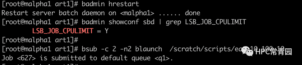LSF实践专题（32）：对作业的内存和CPU使用进行限制_lsf内存管理-CSDN博客
