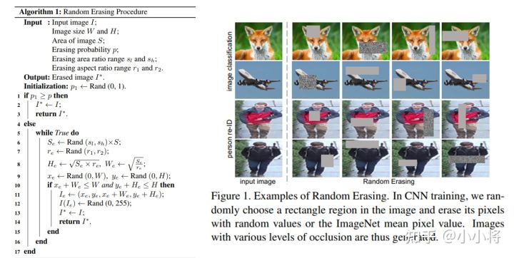 图像分类训练技巧之数据增强篇_transforms.randomhorizontalflip-CSDN博客