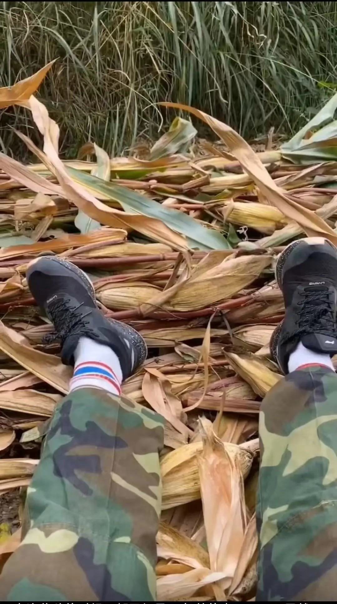 流程更新----python版本分析10X HD数据（单样本）_squidpy 10x分析-CSDN博客