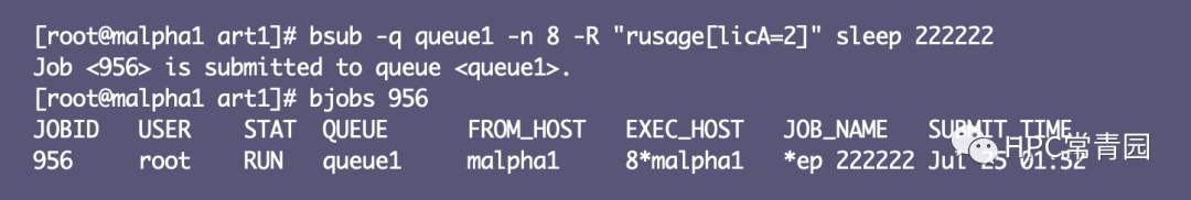 LSF实践专题（20）：LSF集群的资源限制功能_lsf查询个人的资源限额-CSDN博客