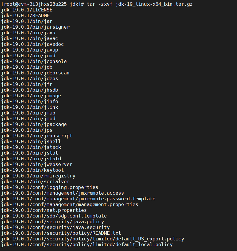 Java基础：Linux环境下安装最新JDK19（CentOS7）_jdk19文件位置-CSDN博客