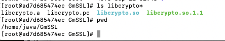 gmssl java_GMSSL编译运行Java Wrapper踩坑记录_weixin_39530149的博客-CSDN博客