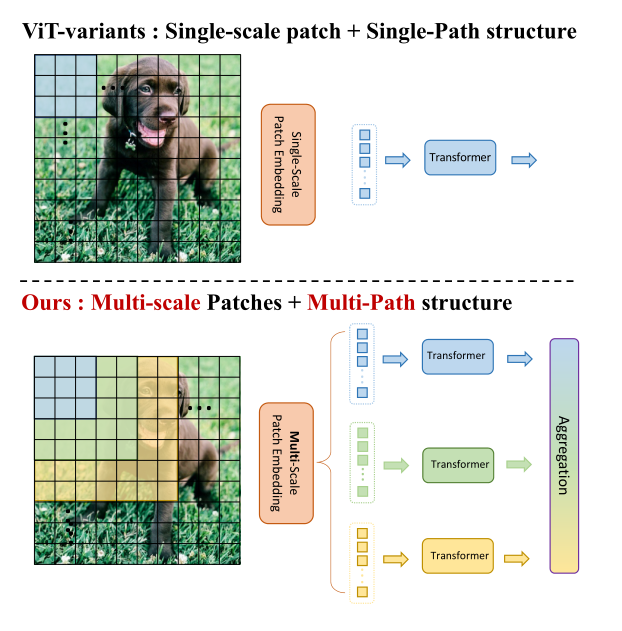 【图像分类】2022-MPViT CVPR_cvpr 2022图片分类-CSDN博客