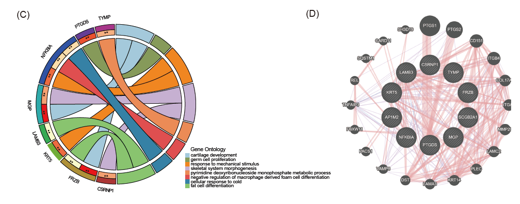 iMetaOmics | 中南大学夏晓波团队揭示青光眼和SLE发病机制新关联-CSDN博客