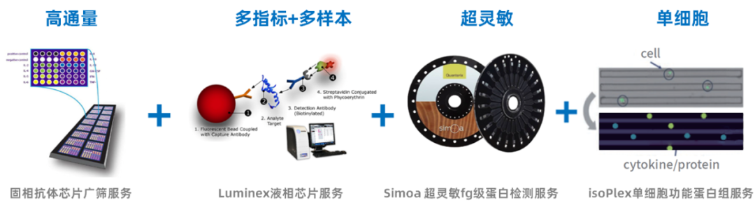 Nat Commun：Ube2m-Rbx1拟素化-泛素化轴维持调节性T细胞的功能特性-CSDN博客