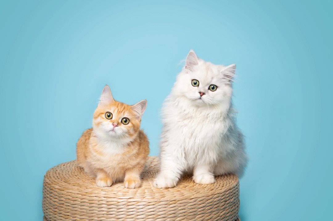 AVL Cruise从入门到秃头-如何快速搞定一个P2并联混动模型_王浮生不怕生-CSDN博客