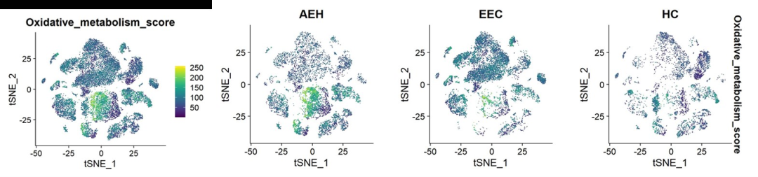 UCell:单细胞评分分析R包及可视化应用_ucell r语言-CSDN博客