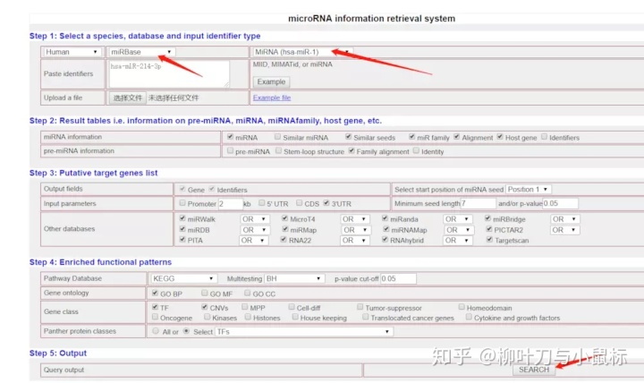 seqkit根据基因id_如何预测miRNA靶基因(miRWalk2.0数据库)_kidswit的博客-CSDN博客