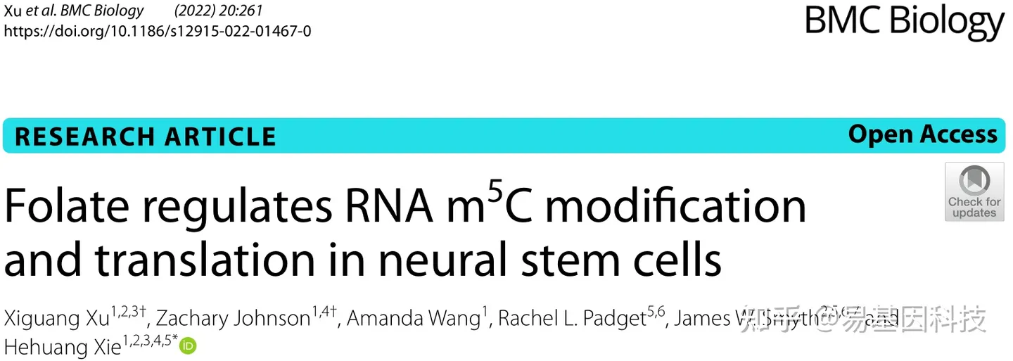 易基因：RNA-BS揭示叶酸调控神经干细胞m5C修饰和mRNA翻译机制｜科研速递-CSDN博客