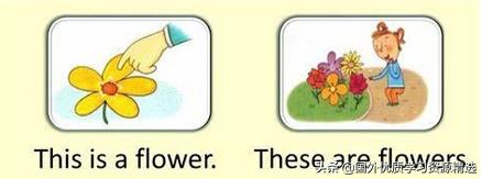 用法与区别_指示代词this, that, these, those的区别和用法-CSDN博客