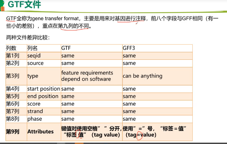生物信息学常见数据格式 • fasta • fastq • gff/gtf_生物信息学序列格式-CSDN博客