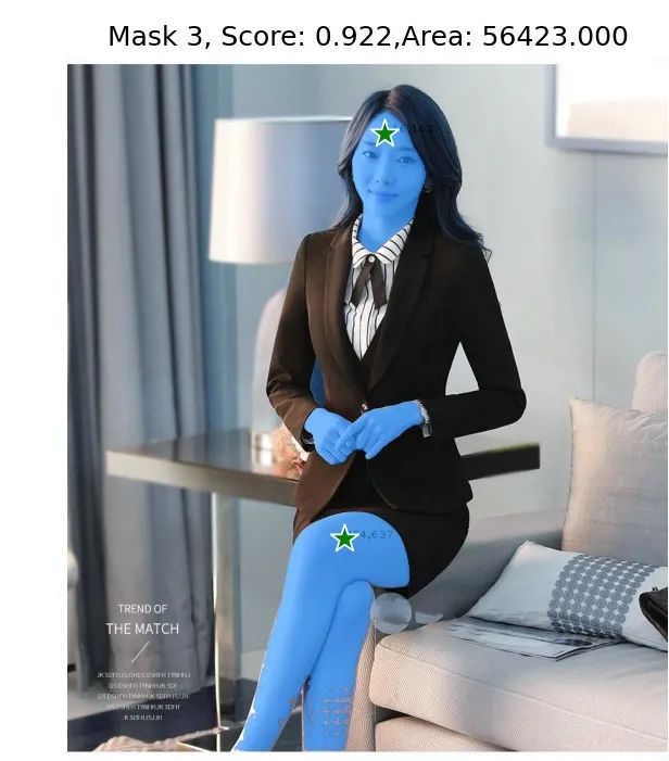 基于SAM模型的交互式图像分割实现_sam怎么交互-CSDN博客