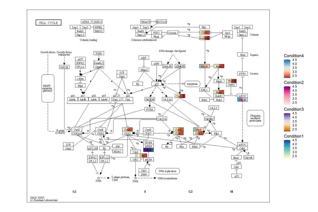 ggkegg | KEGG数据可视化利器，就说你会用到吧...-CSDN博客