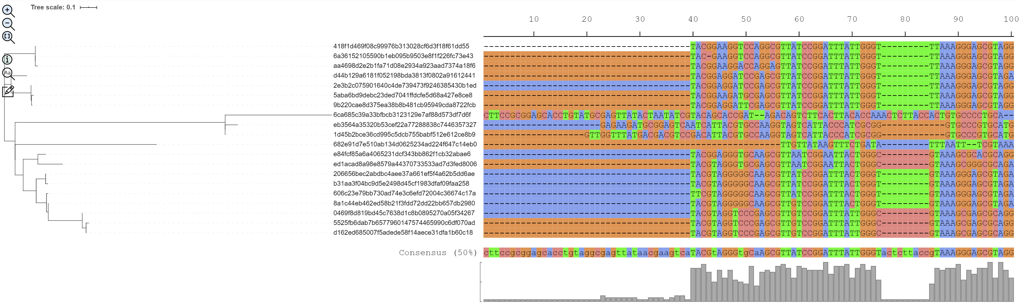 QIIME 2教程. 21进化树推断q2-phylogeny(2020.11)_qiime raxml-CSDN博客