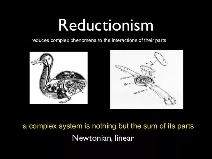 【生活中的逻辑谬误】止于分析和简化主义_cause reductionism-CSDN博客