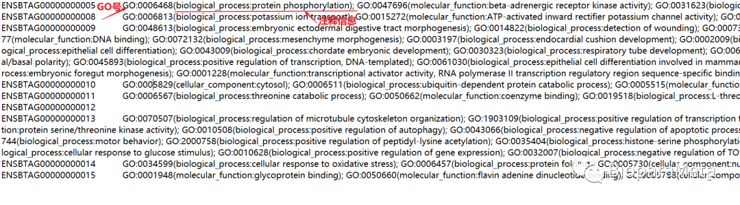 go split 正则_WEGO使用—华大基因在线GO功能注释-CSDN博客