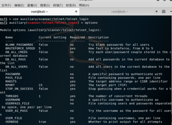 网络安全B模块（笔记详解）- 弱口令渗透测试-CSDN博客