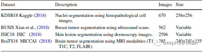 BT-Unet:医学图像分割的自监督学习框架-CSDN博客