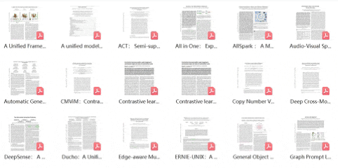 大型视觉语言模型OMG-LLaVA：图像级、目标级和像素级的推理和理解任务统一-CSDN博客