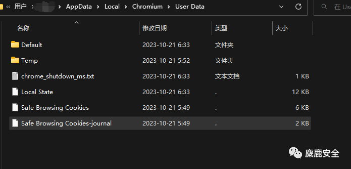浅析HackBrowserData原理以及免杀思路(红队工具之获取目标机器浏览器记录 密码 cookie)_hack-browser-data ...