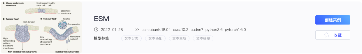 【模型复现】零样本预测文本分类模型——ESM 快速复现模型_esm(embedding from semantic mapping)库-CSDN博客