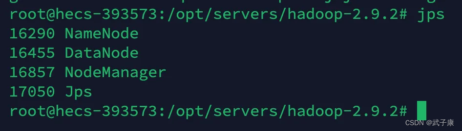 Hadoop-04-Hadoop集群 集群群起 NameNode/DataNode启动 3台公网云 ResourceManager Yarn HDFS 集群启动 UI可视化查看 YarnUI ...