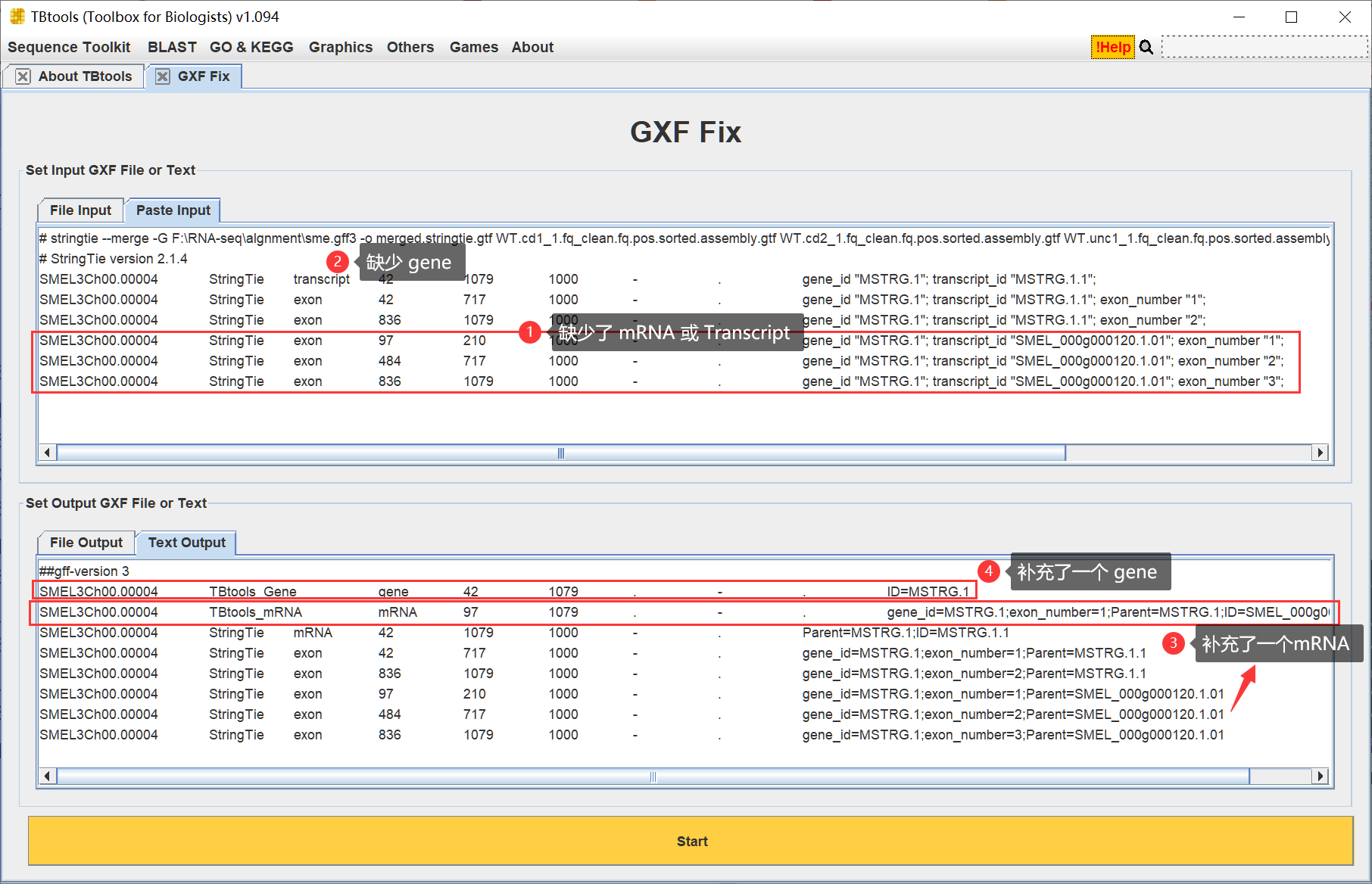 贴心 | GXF Fix 修复 / 优化基因结构注释信息文件 - GTF/GFF3_gtf文件只有exon如何补全-CSDN博客