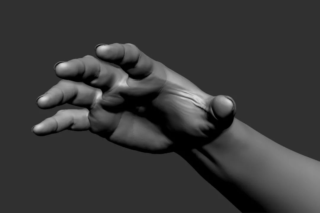 全是技巧！ZBrush雕刻手部教程赶紧收藏！_zb手摸-CSDN博客