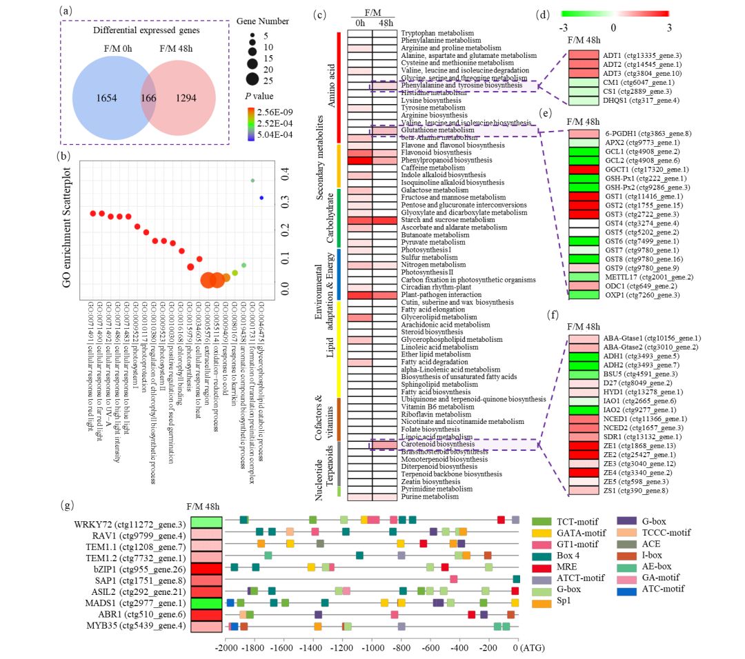 Microbiome丨杭州师范大学沈晨佳课题组揭示环境胁迫下红豆杉内生真菌种群和宿主次生代谢之间的作用机制...-CSDN博客