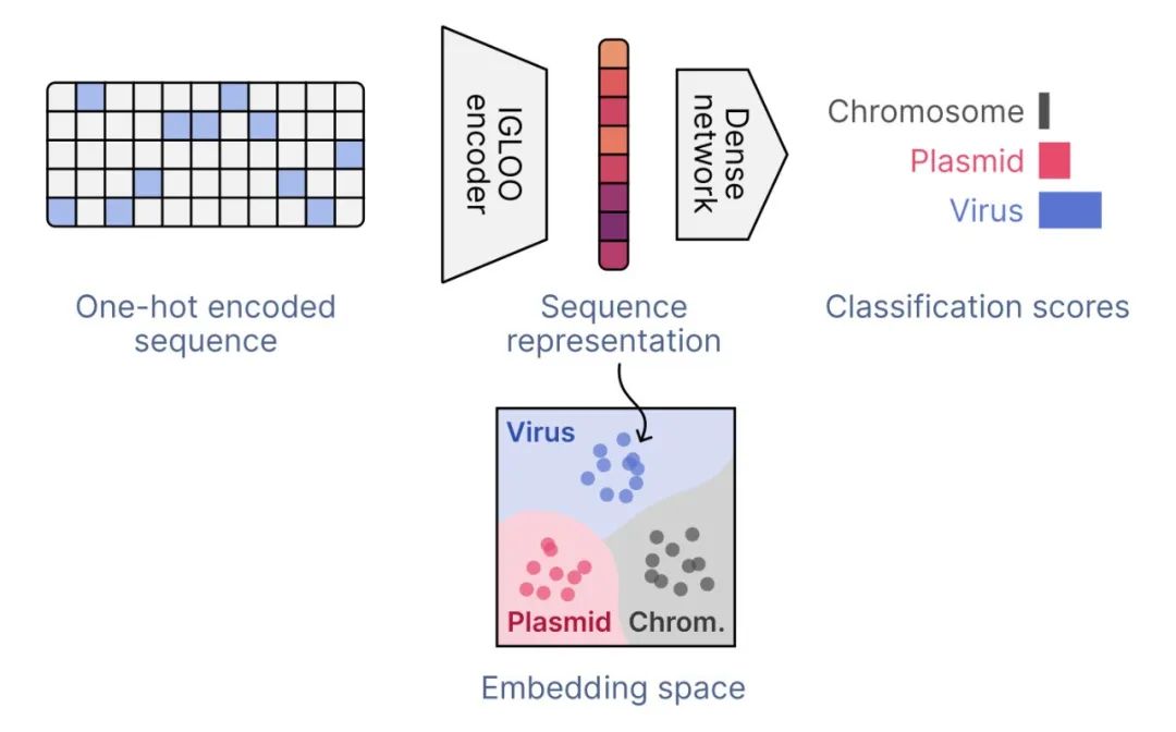 Nature Biotechnology | 使用geNomad识别移动遗传元素-CSDN博客