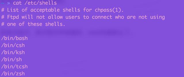 csh shell_一篇文章从了解到入门shell-CSDN博客
