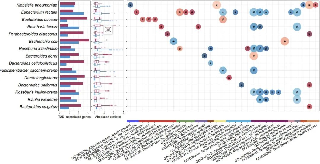 MicrobiomeStatPlot | 气泡图教程Bubble plot tutorial-CSDN博客