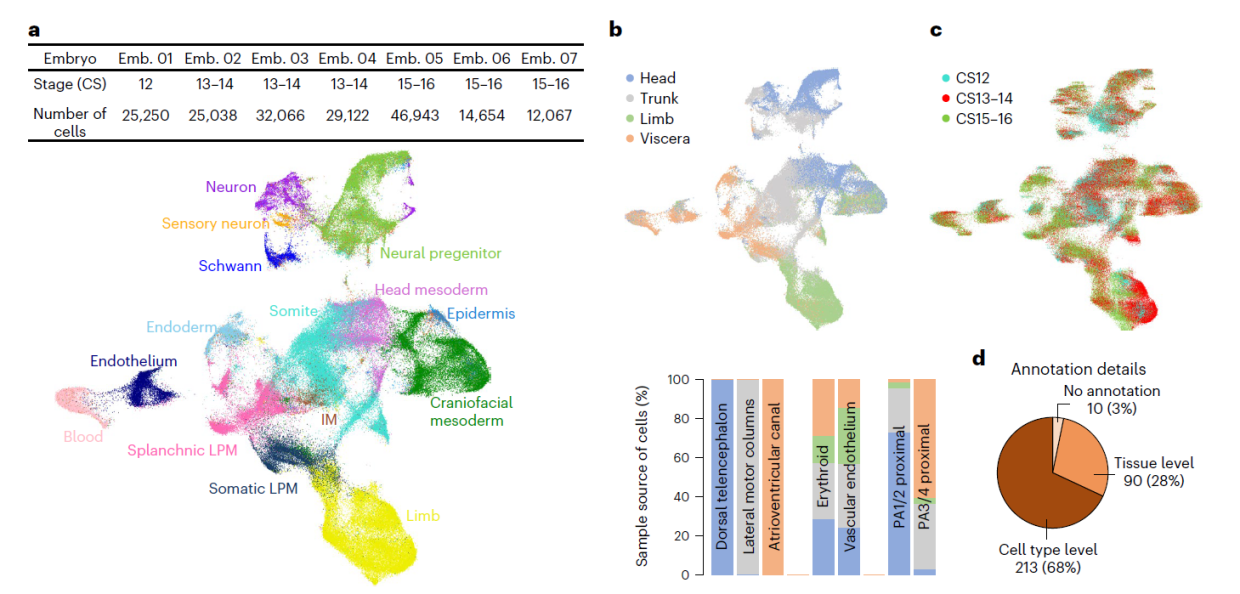 单细胞空间绘制人类胚胎器官发生时期细胞图谱_用rctd鉴定单细胞细胞类型-CSDN博客