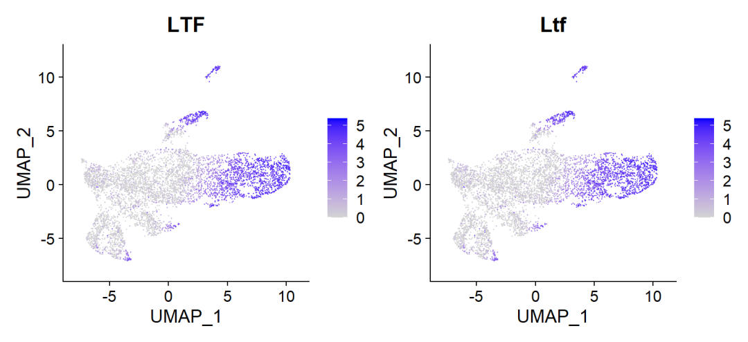 玩转单细胞(7)：修改Seurat对象基因名称_为什么seurat对象的基因名是feature-CSDN博客