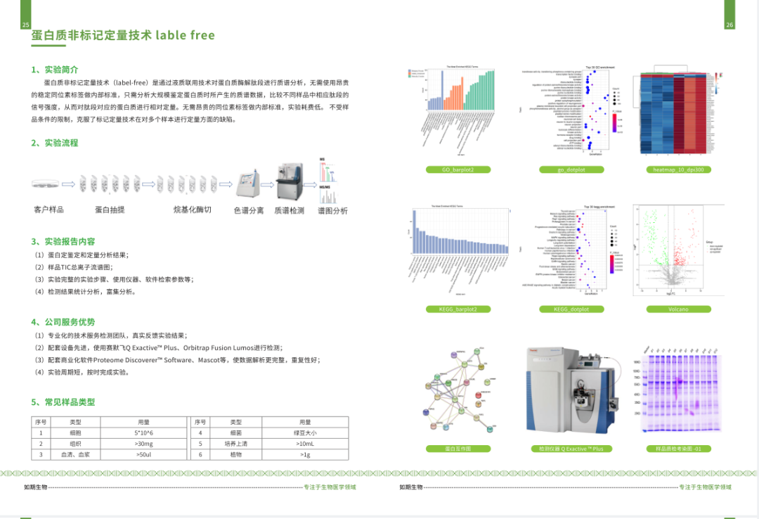 RIP实验步骤(RNA Immunoprecipitation)_avareart的博客-CSDN博客