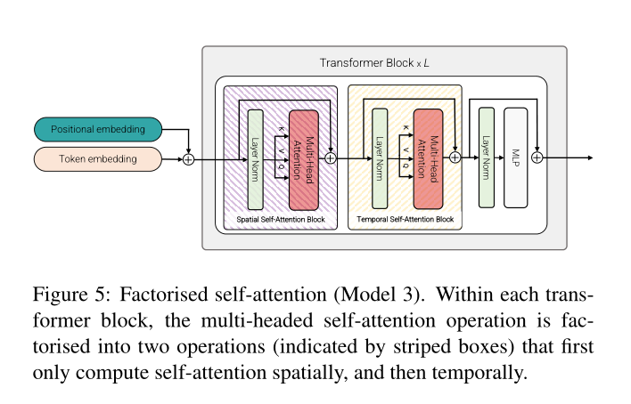 行为识别 - ViViT: A Video Vision Transformer_什么是vivit-CSDN博客