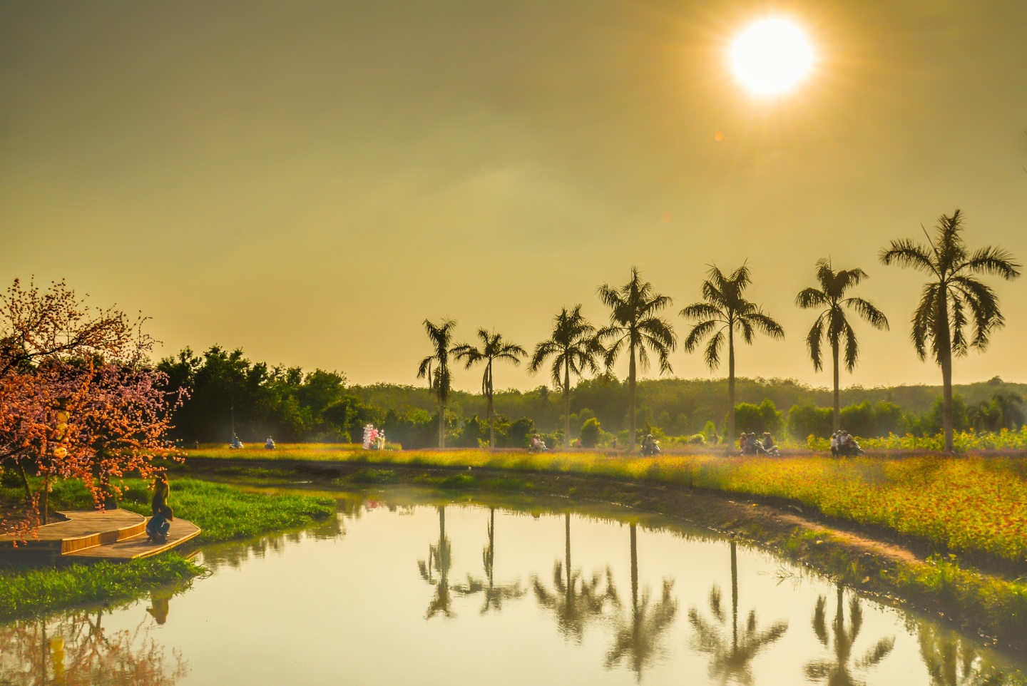 目录忽略_libevent源代码初识及目录结构分析-CSDN博客