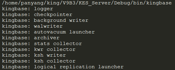人大金仓数据库KingbaseES后台进程介绍-CSDN博客