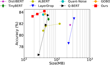 让BERT瘦下来 MindSpore量化训练极低比特语言模型 TernaryBERT_bert量化感知训练-CSDN博客