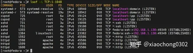 你好，OpenEuler ! （十五、常用命令集合lost&netstat）_openeuler netstat-CSDN博客
