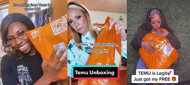 temu履约服务费在哪里看_temu运费明细在哪里-CSDN博客