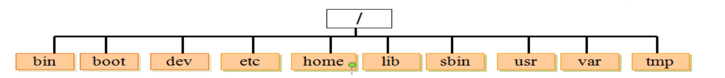 Linux常用指令_linux list-CSDN博客