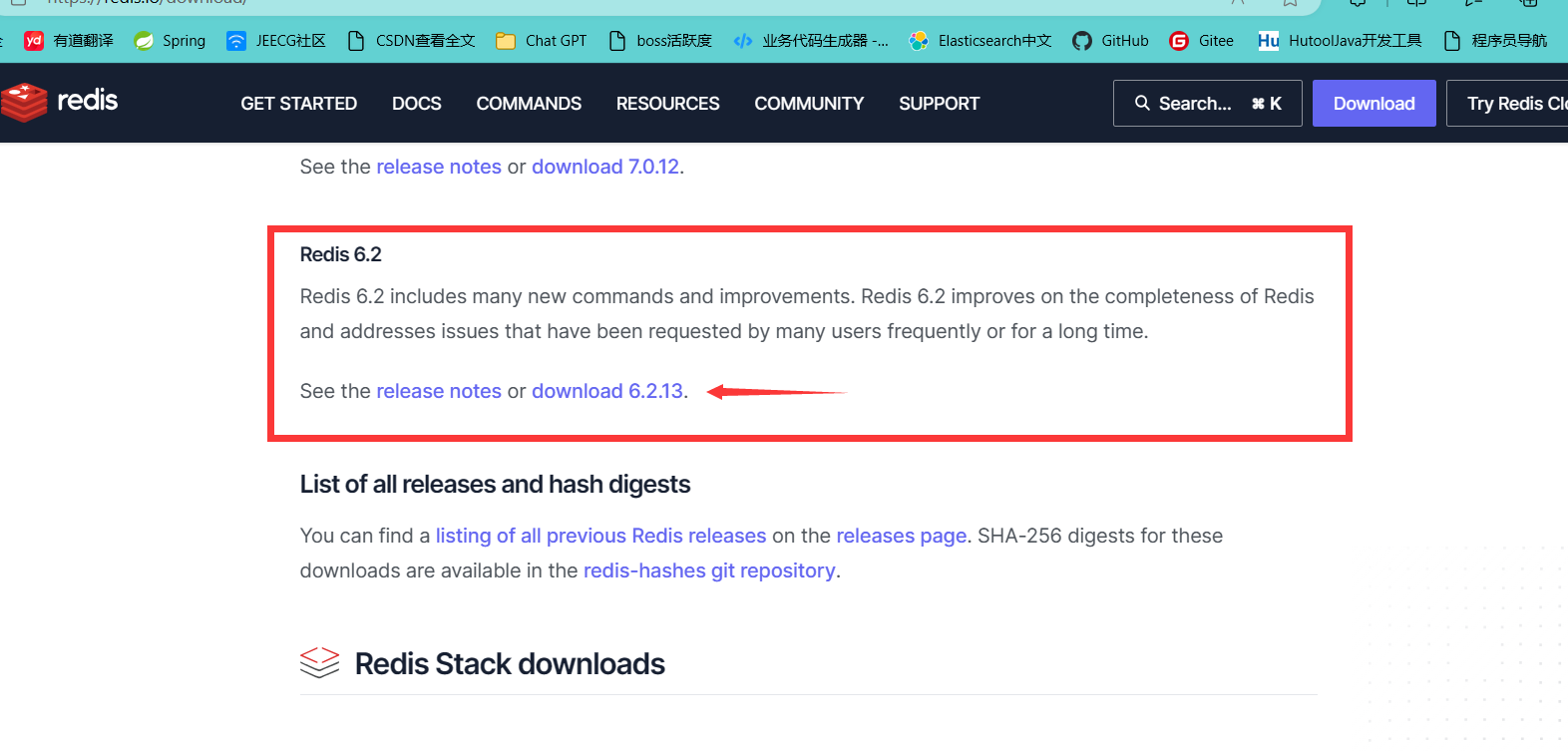 Linux下redis的安装，手把手教会你redis 6213targz安装 Csdn博客 