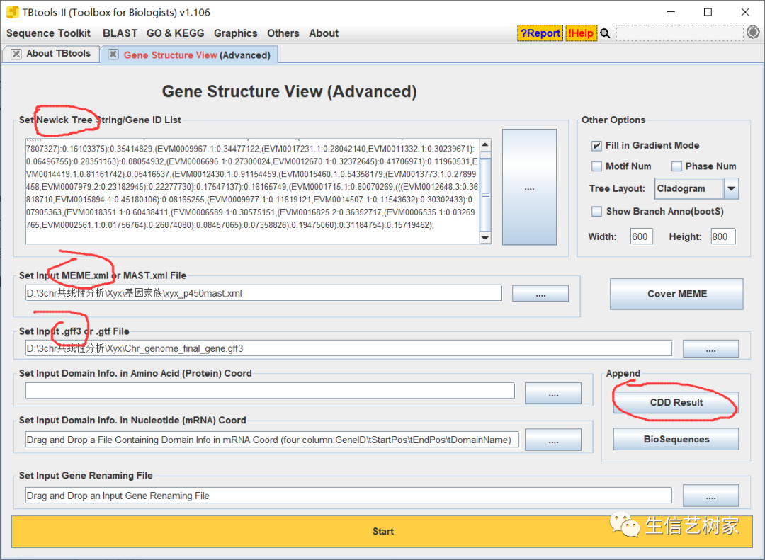 TBtools | 基因家族分析 (进化树、Motifs、结构域)-CSDN博客